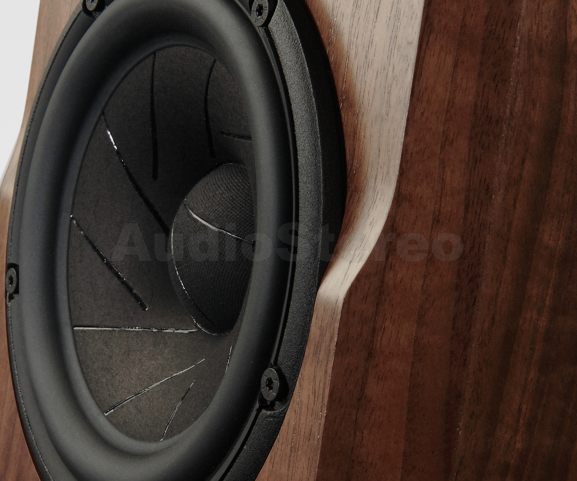 XAVIAN XN 250 Evoluzione - Incinte acustice high-end de stand